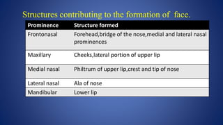 DEVELOPMENT OF PALATE AND ITS ANOMALIES | PPTX