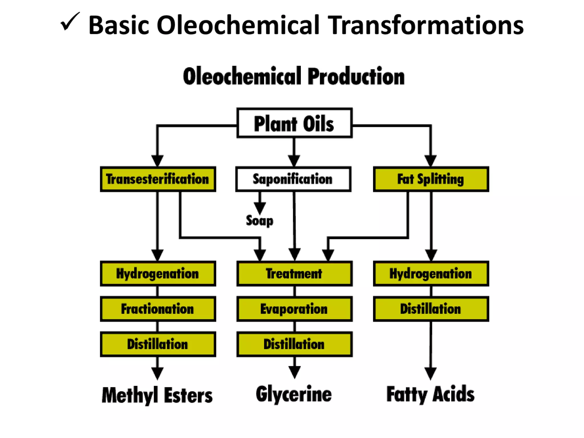 Palm Based Oleochemicals: An Overview | PDF