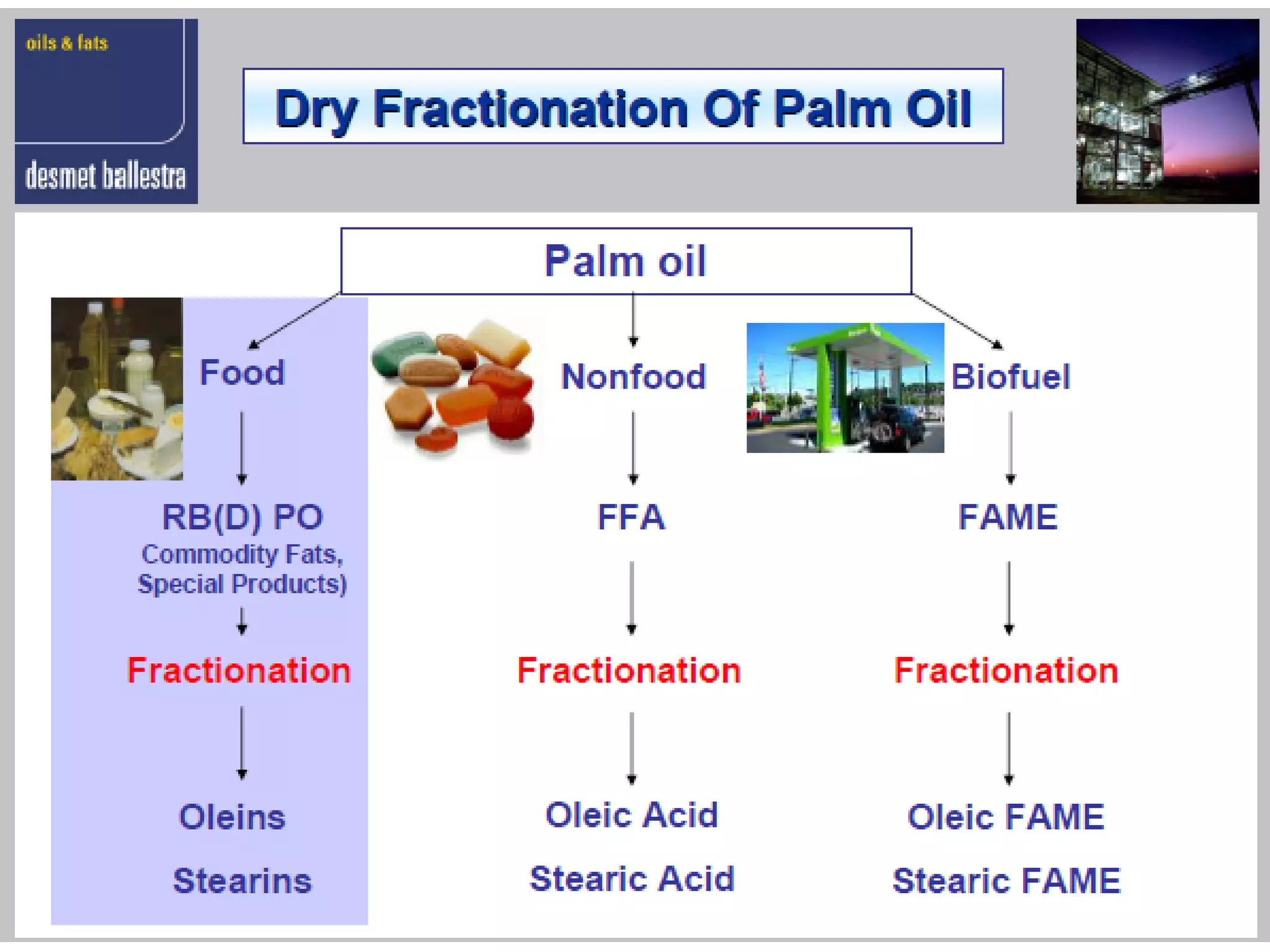 Palm Based Oleochemicals: An Overview | PDF
