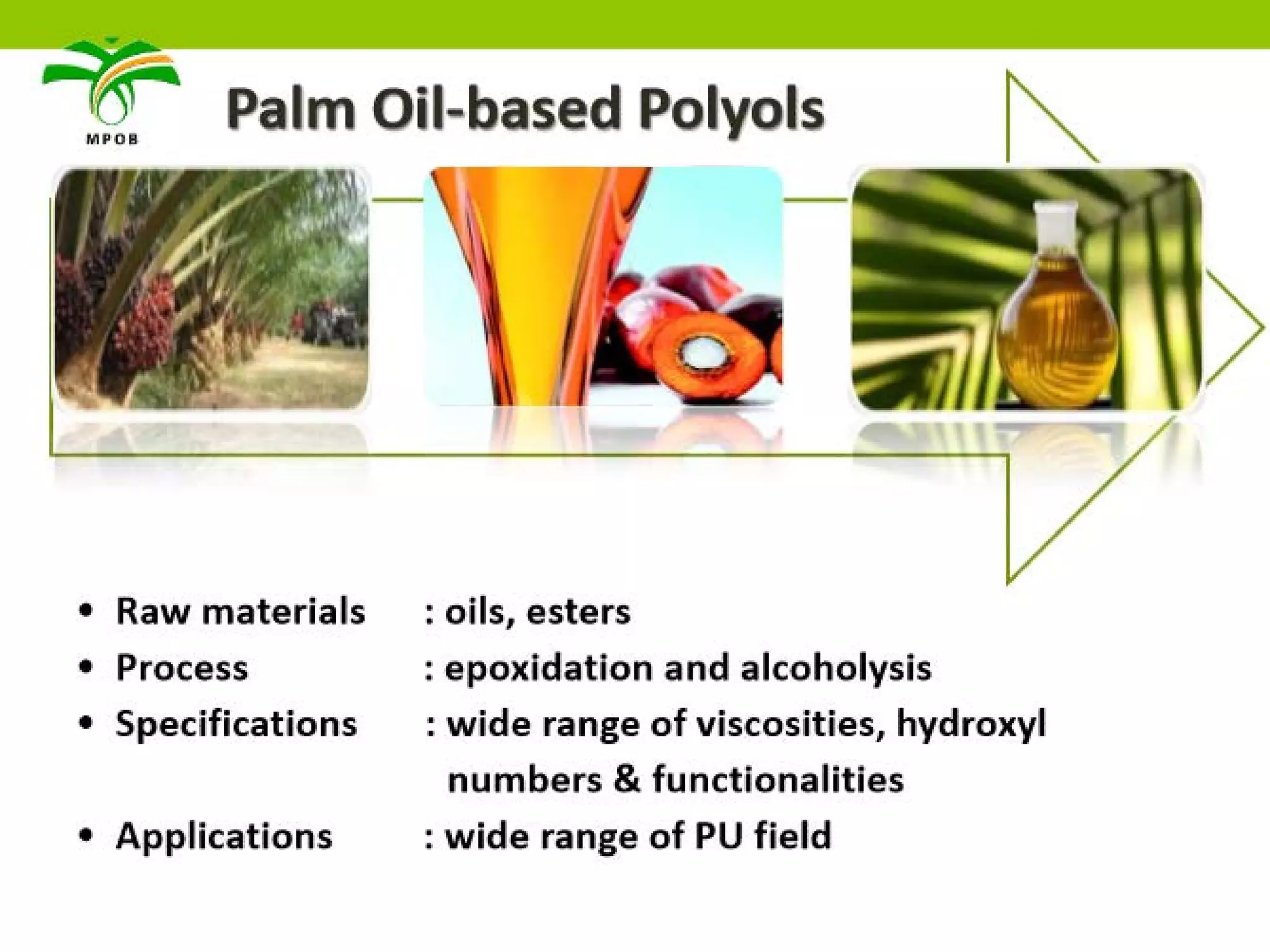Palm Based Oleochemicals: An Overview | PDF
