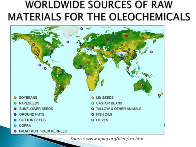 Palm Based Oleochemicals: An Overview | PDF | Chemistry | Science