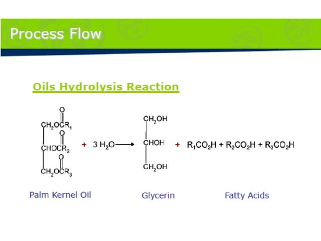 Palm Based Oleochemicals: An Overview | PDF | Chemistry | Science