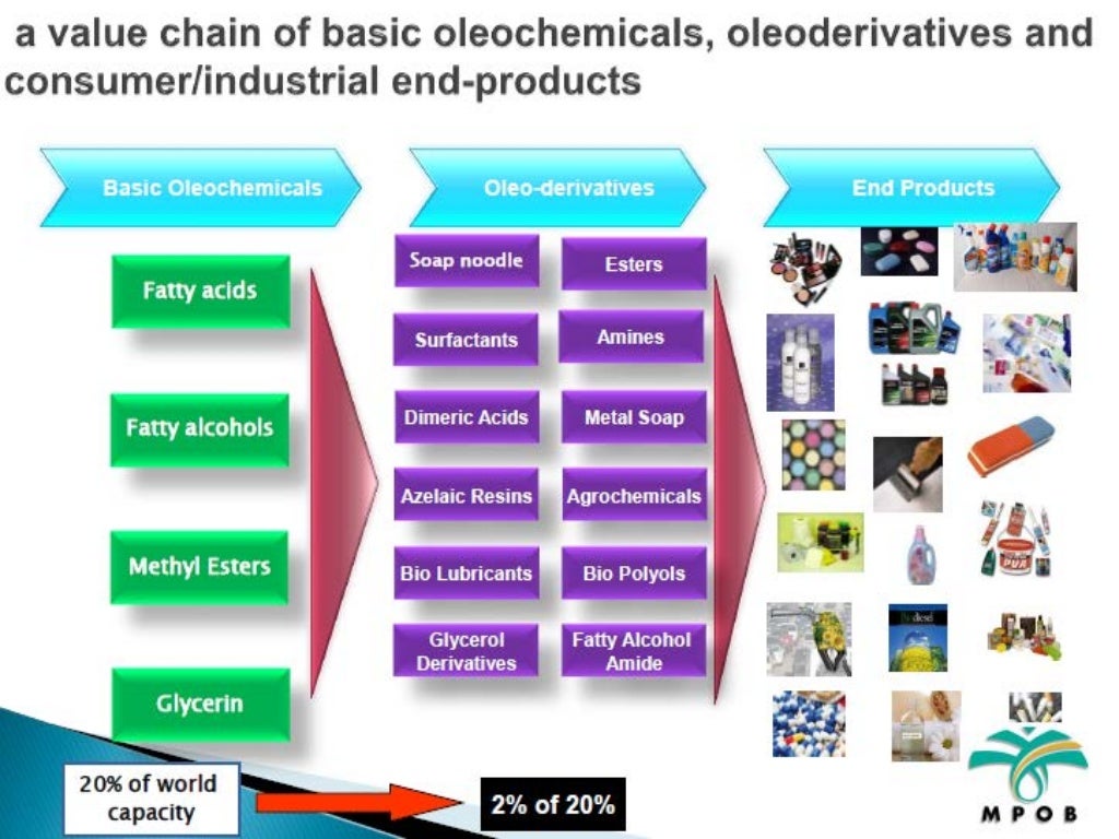 Palm Based Oleochemicals: An Overview