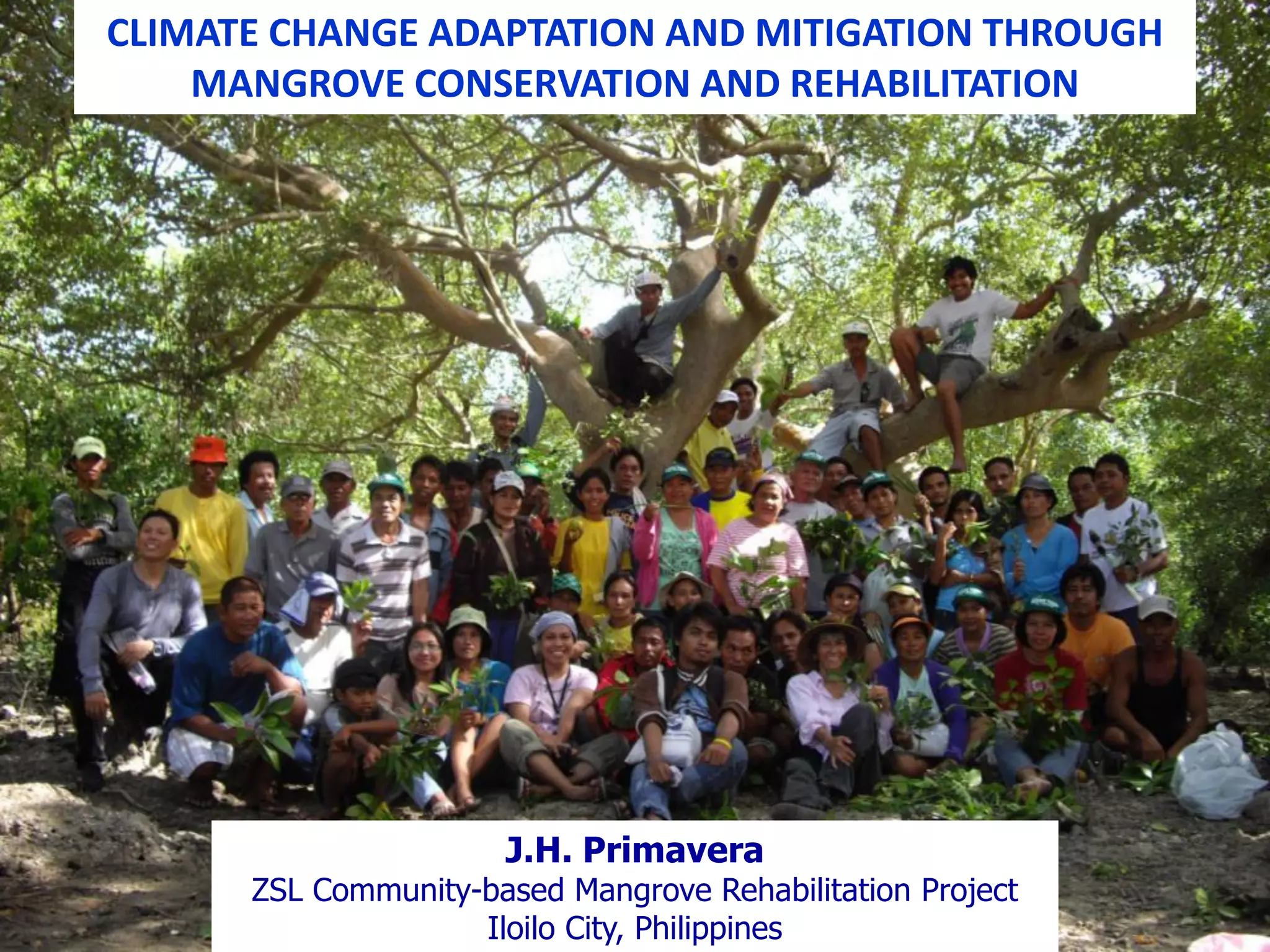 Climate Change Adaptation and Mitigation Through Mangrove Conservation ...