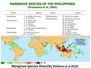 Climate Change Adaptation and Mitigation Through Mangrove Conservation ...