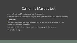1) paracentesis 2) milk tests for mastitis | PPTX