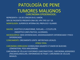 Patologia de pene y vejiga urinaria II | PPT