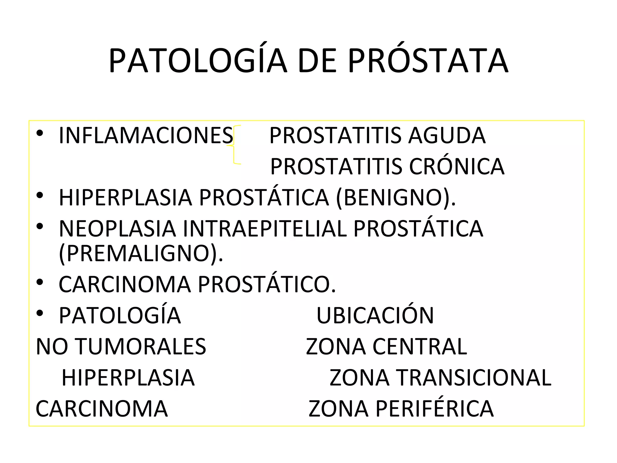 Patología de próstata. | PPT