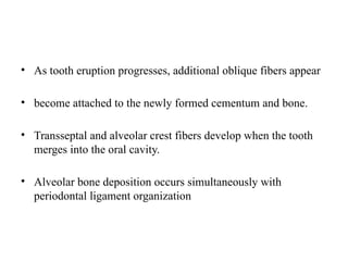tooth supporting structures and its influence in periodontology | PPTX