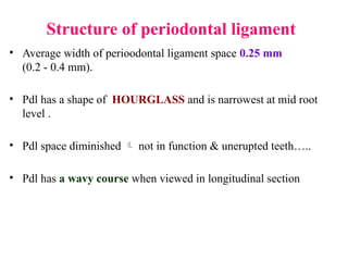tooth supporting structures and its influence in periodontology | PPTX