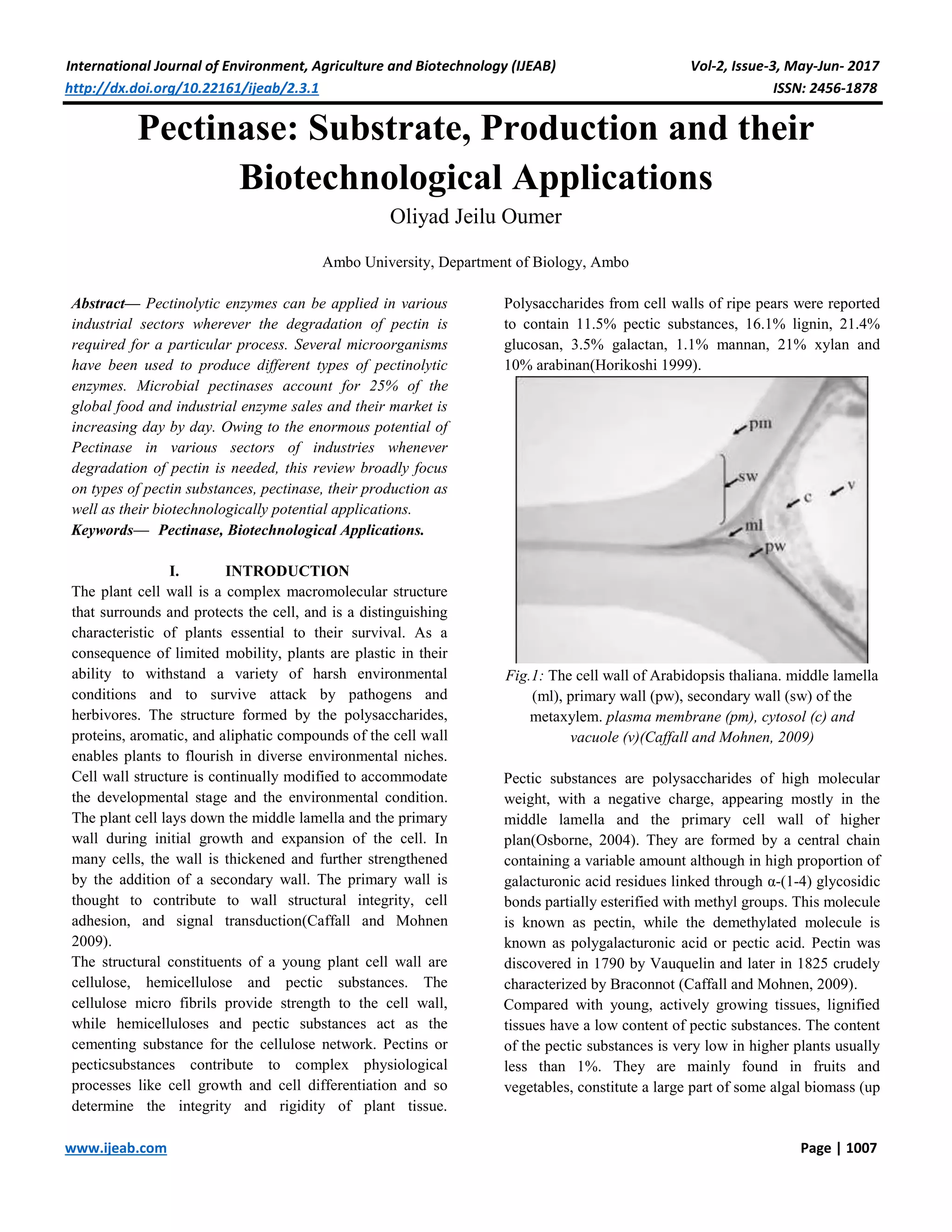 Pectinase Substrate Production And Their Biotechnological Applications
