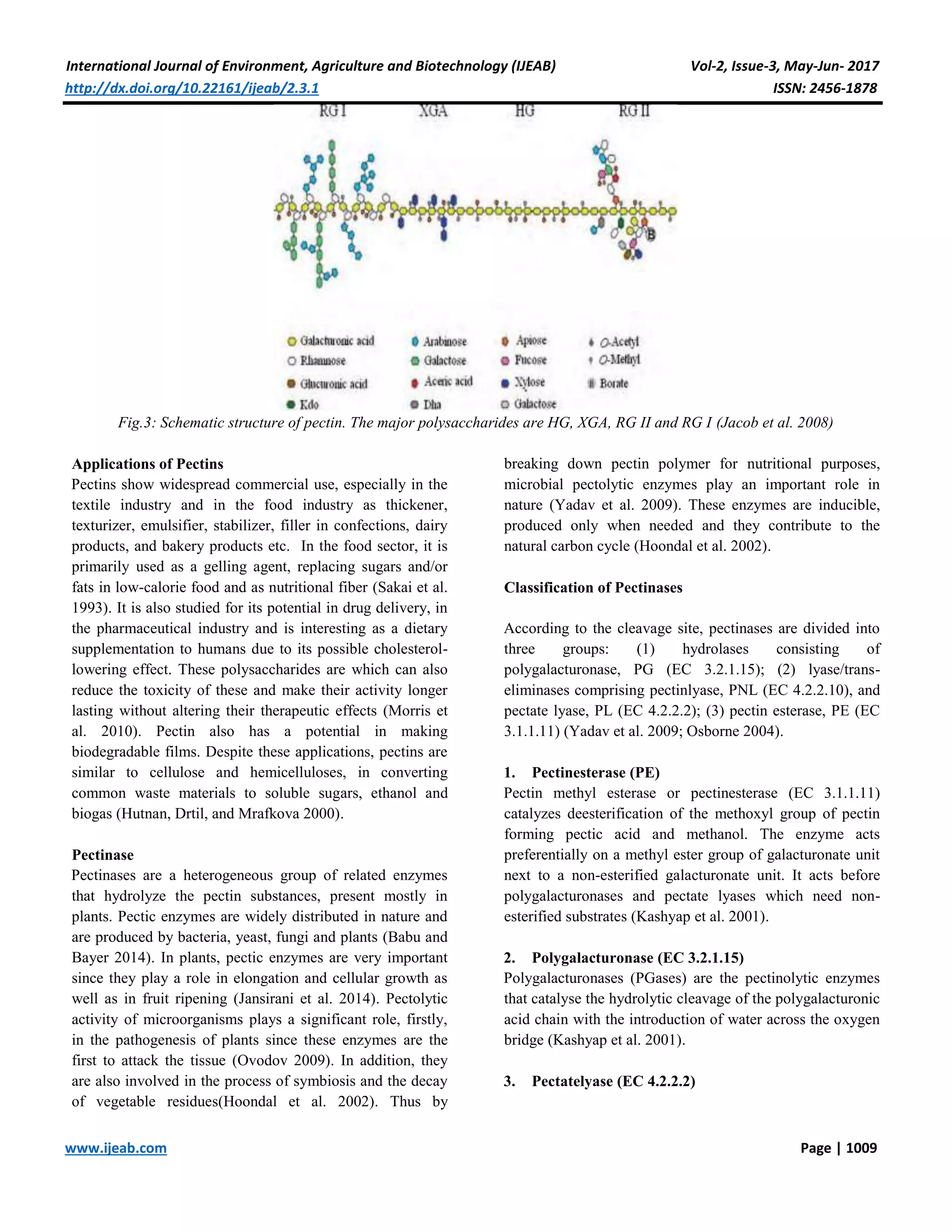 Pectinase Substrate Production And Their Biotechnological Applications