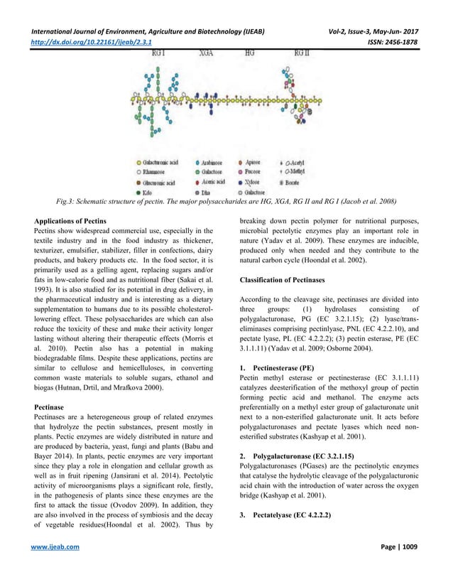 Pectinase Substrate Production And Their Biotechnological Applications