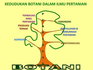 Botani 1 Pendahuluan | PPT