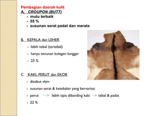 struktur kulit | PPT