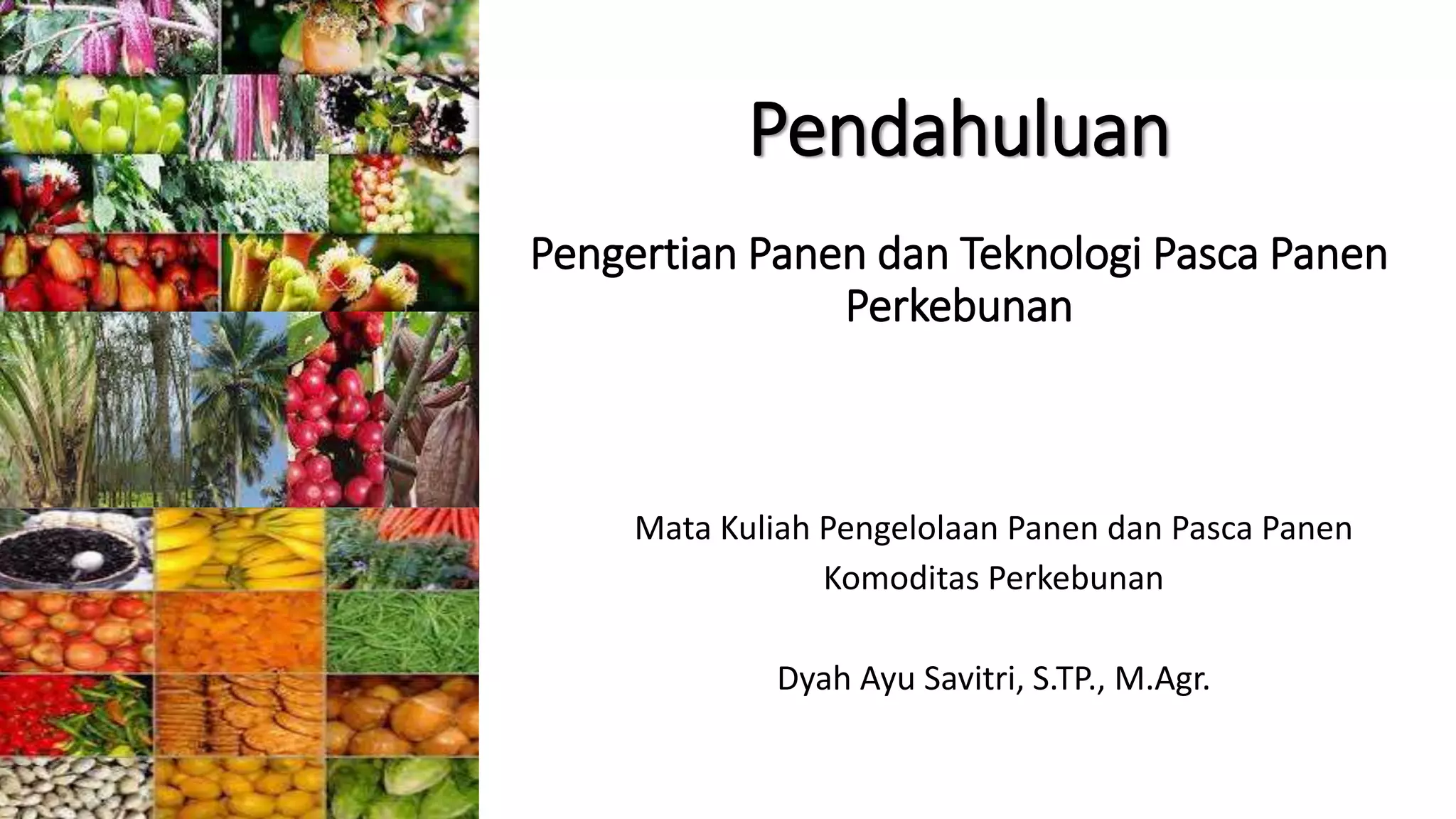 Pendahuluan Arti Penting Panen dan Pasca Panen.pptx