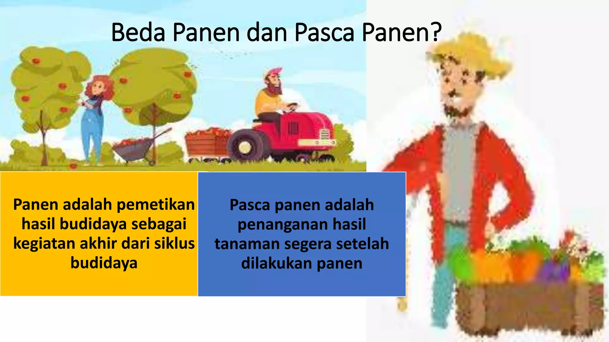 Pendahuluan Arti Penting Panen dan Pasca Panen.pptx