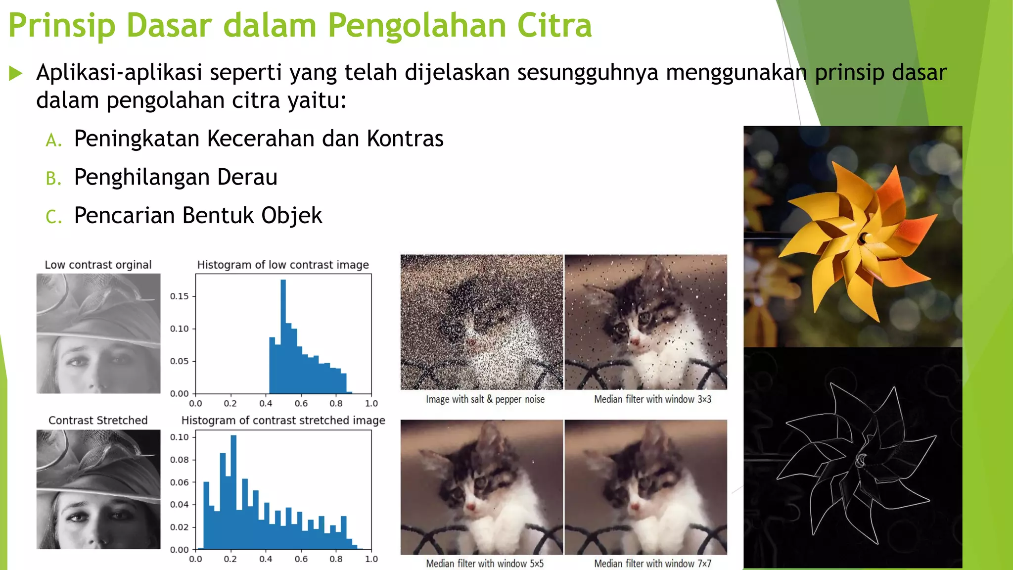 1 PENGANTAR PENGOLAHAN CITRA.pdf