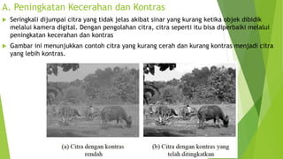1 PENGANTAR PENGOLAHAN CITRA.pdf