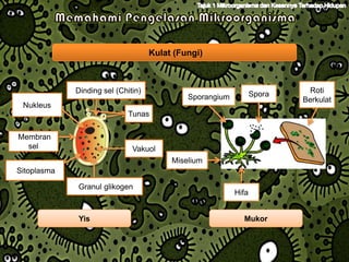 1 pengelasan mikroorganisma | PPTX