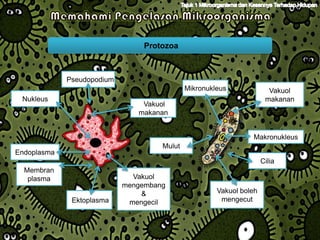 1 pengelasan mikroorganisma | PPTX