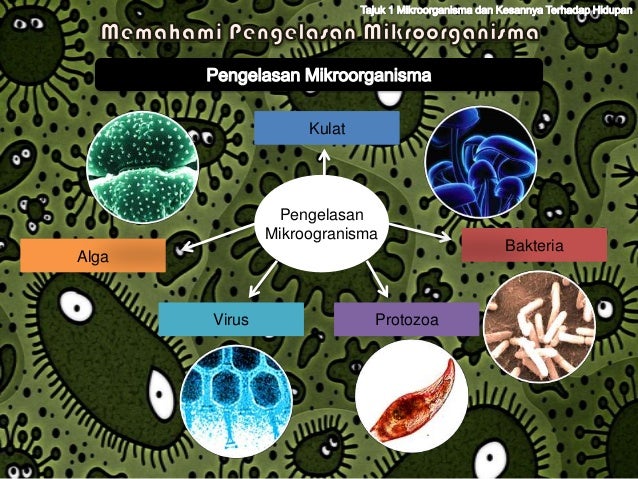 1 Pengelasan Mikroorganisma
