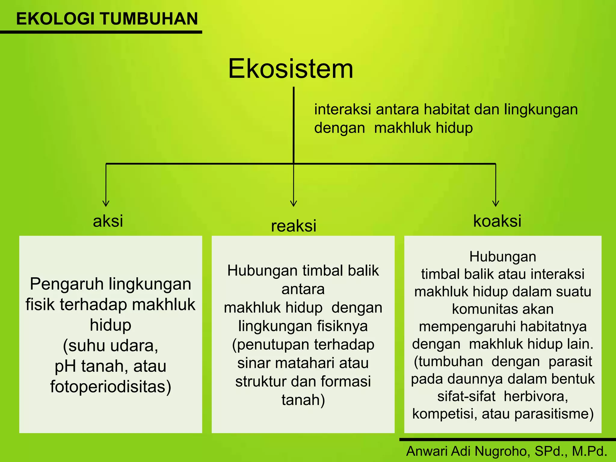 1 Pengertian dan ruang lingkup ekologi tumbuhan.pptx