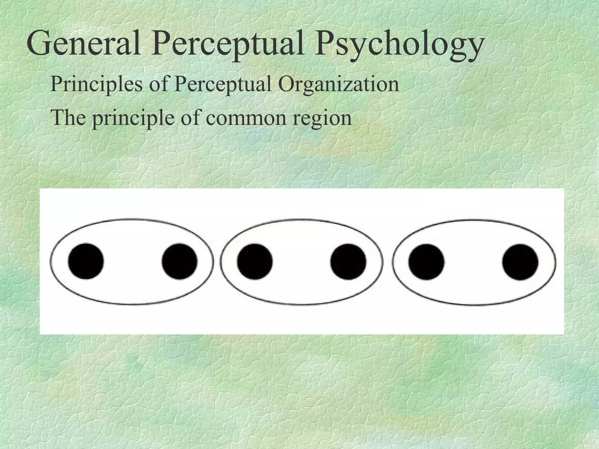 1 perceptual process | PPT