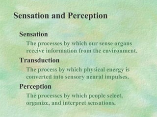 1 perceptual process | PPT