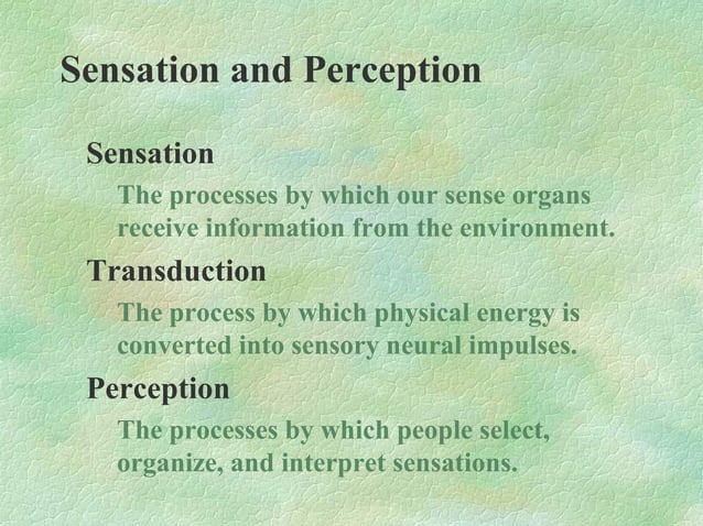 1 perceptual process | PPT | Physics | Science