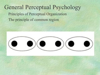 1 perceptual process | PPT