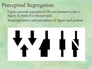 1 perceptual process | PPT
