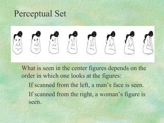 1 perceptual process | PPT