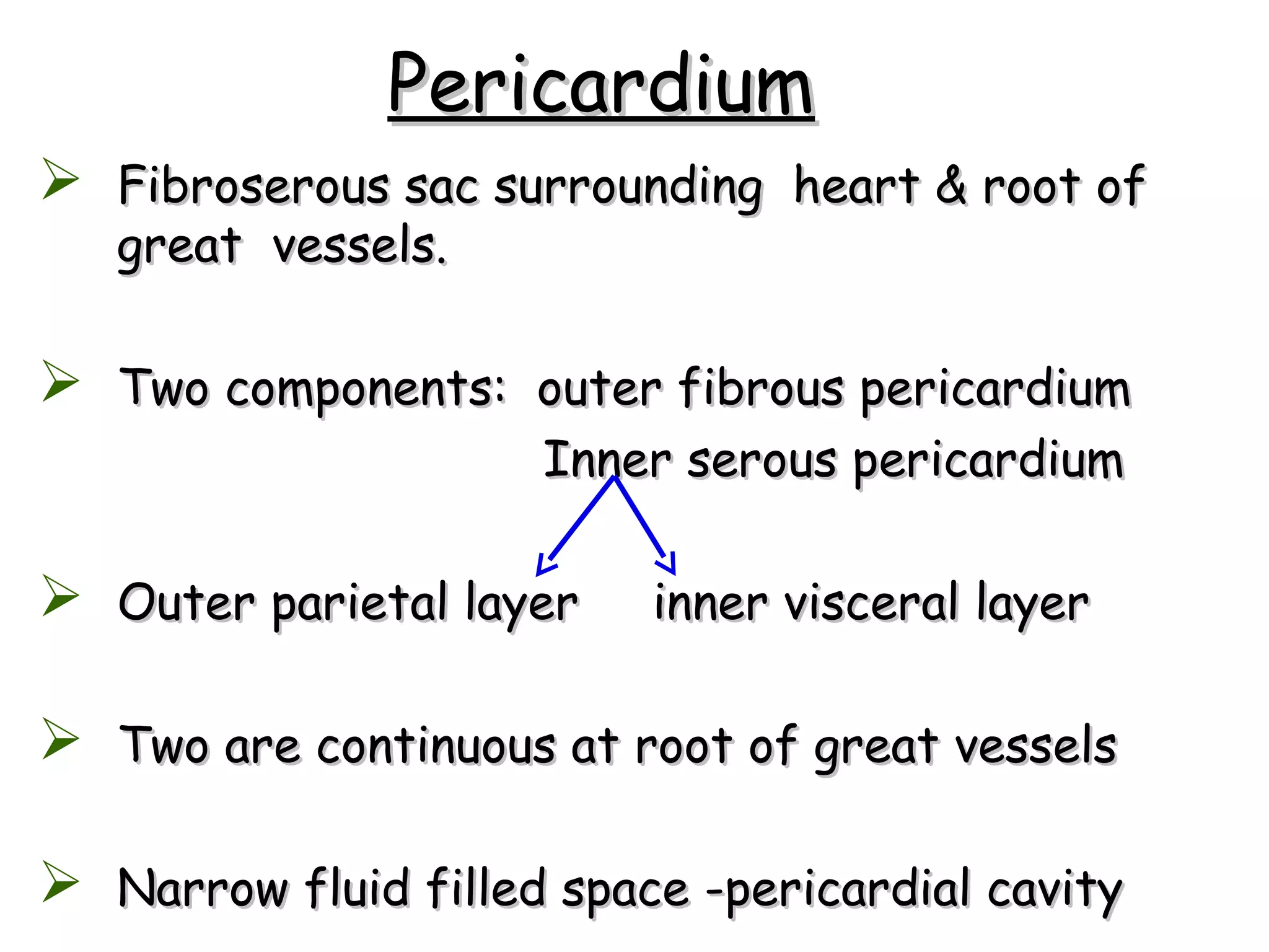 1 pericardium | PPT