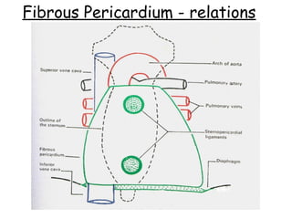 1 pericardium | PPT