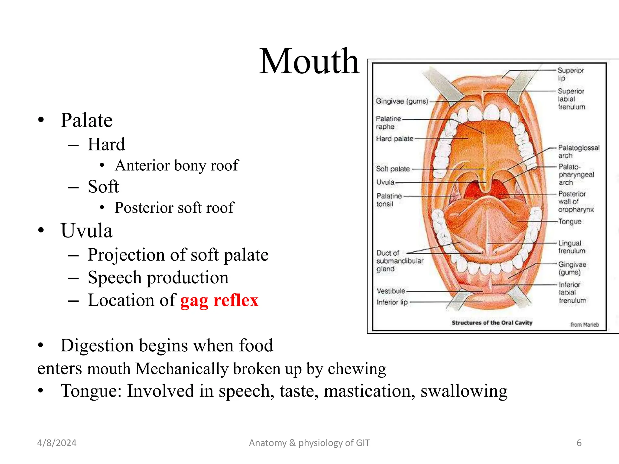 1 perioperative Anesthetic management of GI .pptx