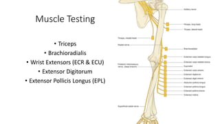 Peripheral Nerve Injuries Dr Mohamed Jukaku | PPTX