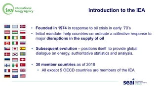 Irish Participation in IEA Tech Collaboration Programmes | PPT