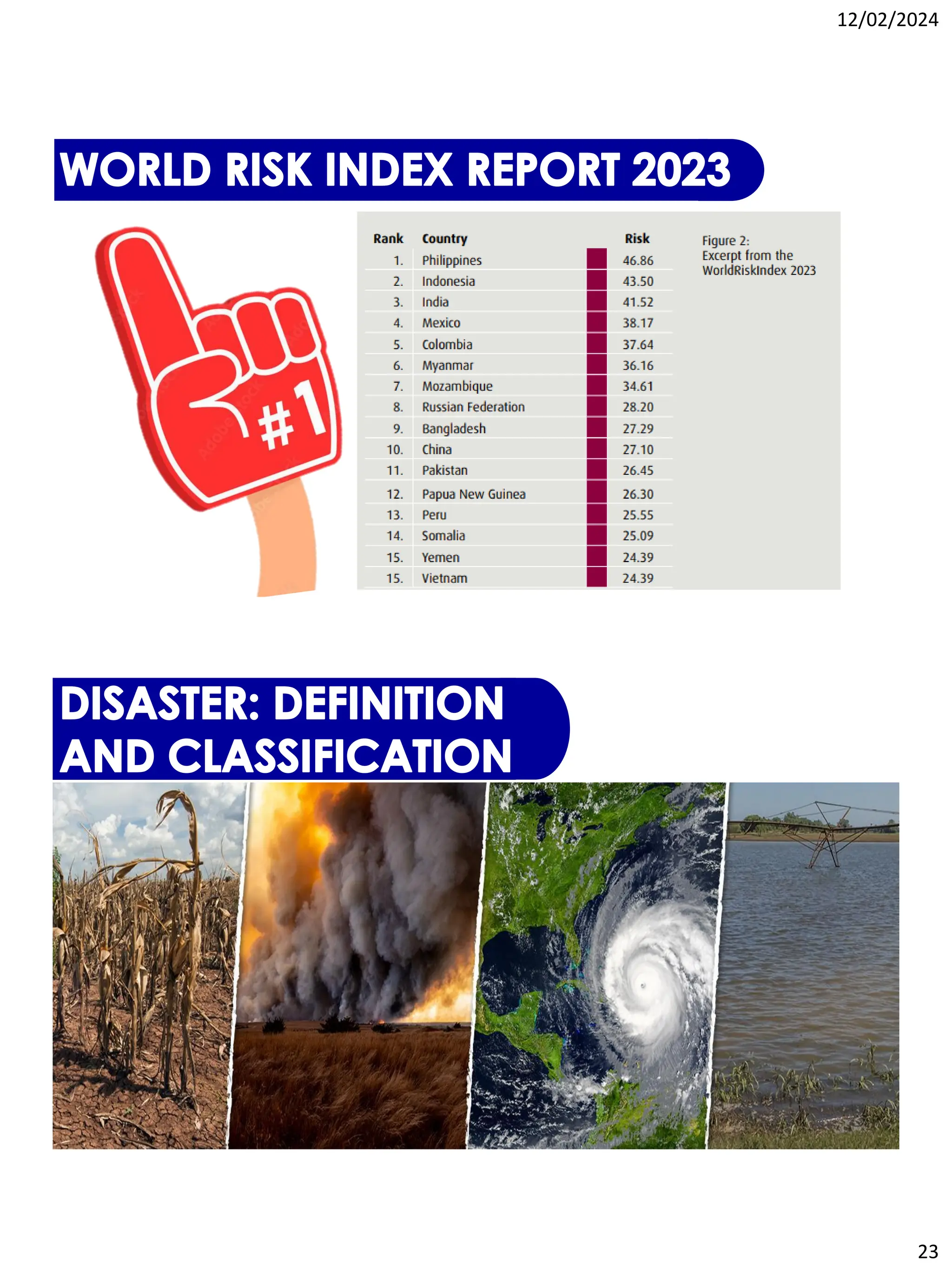 The Philippine Disaster Risk Profile.pdf