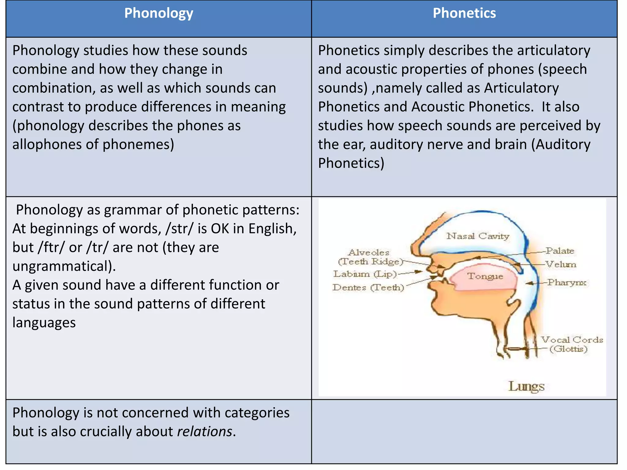 Phonology in English- Introduction | PPTX