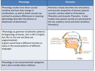 Phonology in English- Introduction | PPT