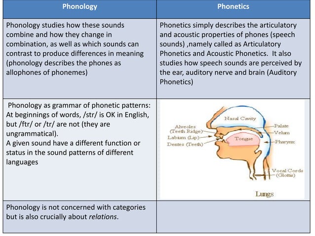 Phonology in English- Introduction | PPT