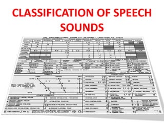 Phonology in English- Introduction | PPT