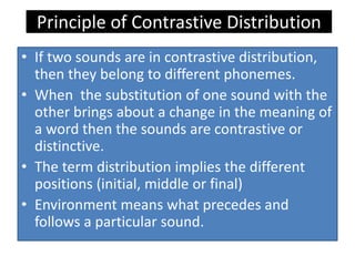 Phonology in English- Introduction | PPT