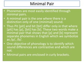 Phonology in English- Introduction | PPT