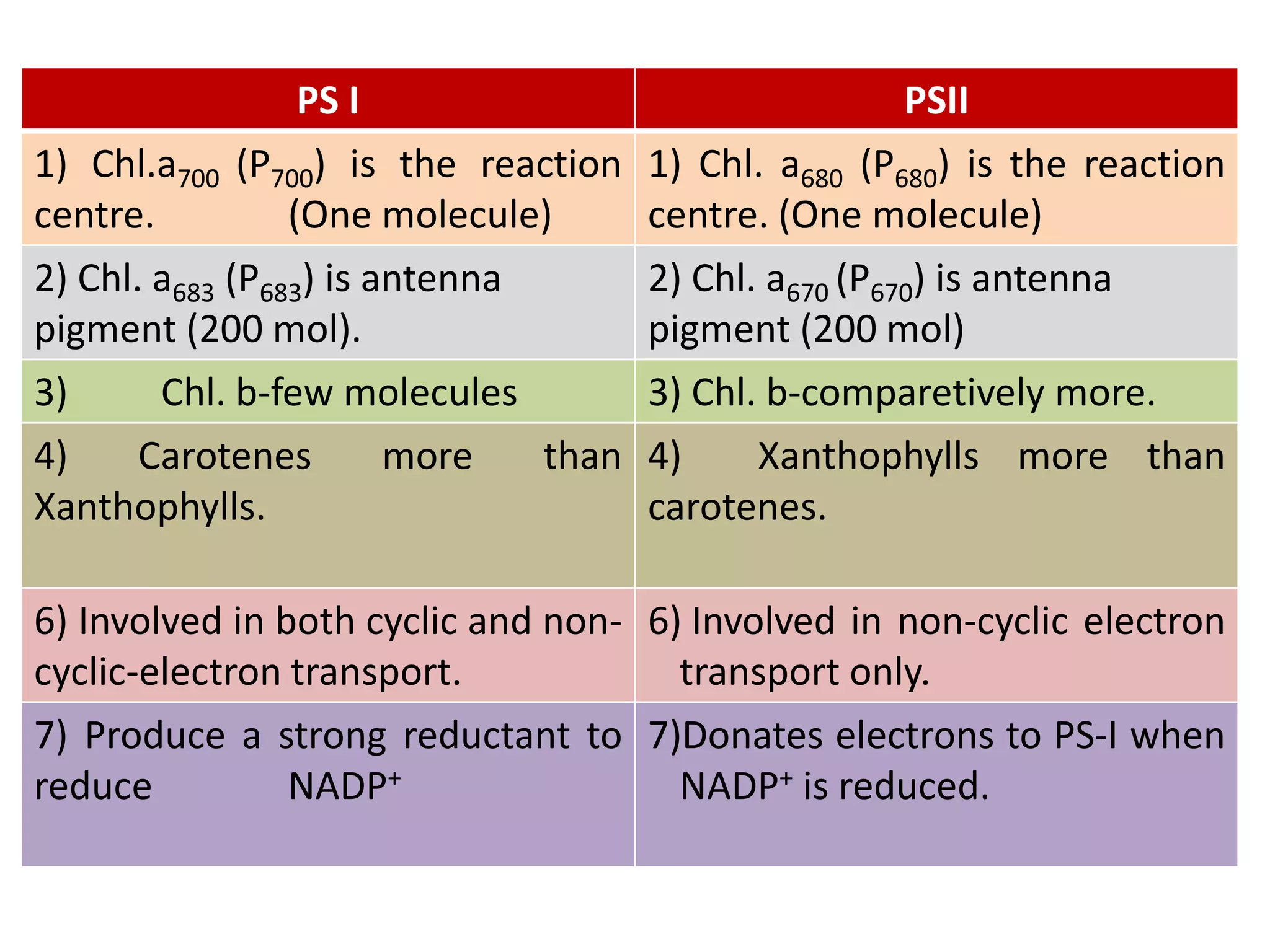 1 photsoysthesis | PPTX