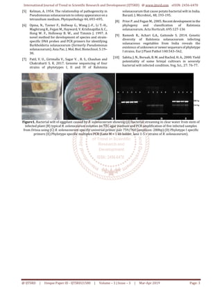 Phylotype Analysis of Ralstonia Solanacearum Causing Bacterial wilt in ...