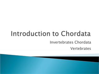 Chordata - Bio 11 | PPT