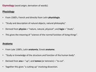 1 Physiol Homeostasis Intro 1 (1).ppt