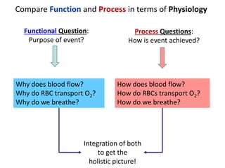1 Physiol Homeostasis Intro 1 (1).ppt
